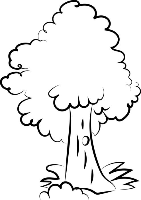 Tree Outline Vector Art, Icons, and Graphics for Free Download