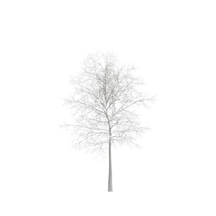 Isometric Trees PNGs for Free Download