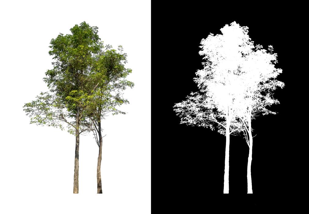 Photogrammetry Stock Photos, Images and Backgrounds for Free Download