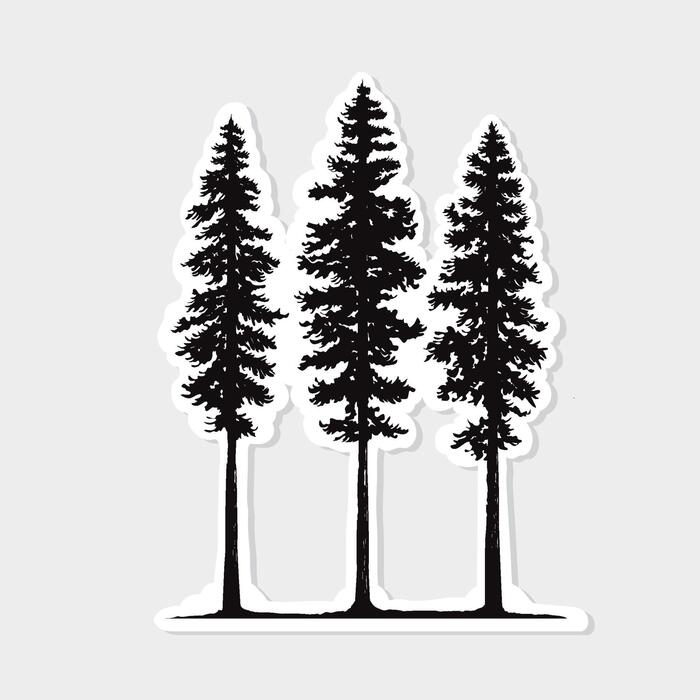 Pine Tree Vector Art, Icons, and Graphics for Free Download