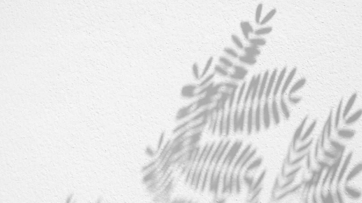 Leaf Shadow Background Stock Photos, Images and Backgrounds for Free ...