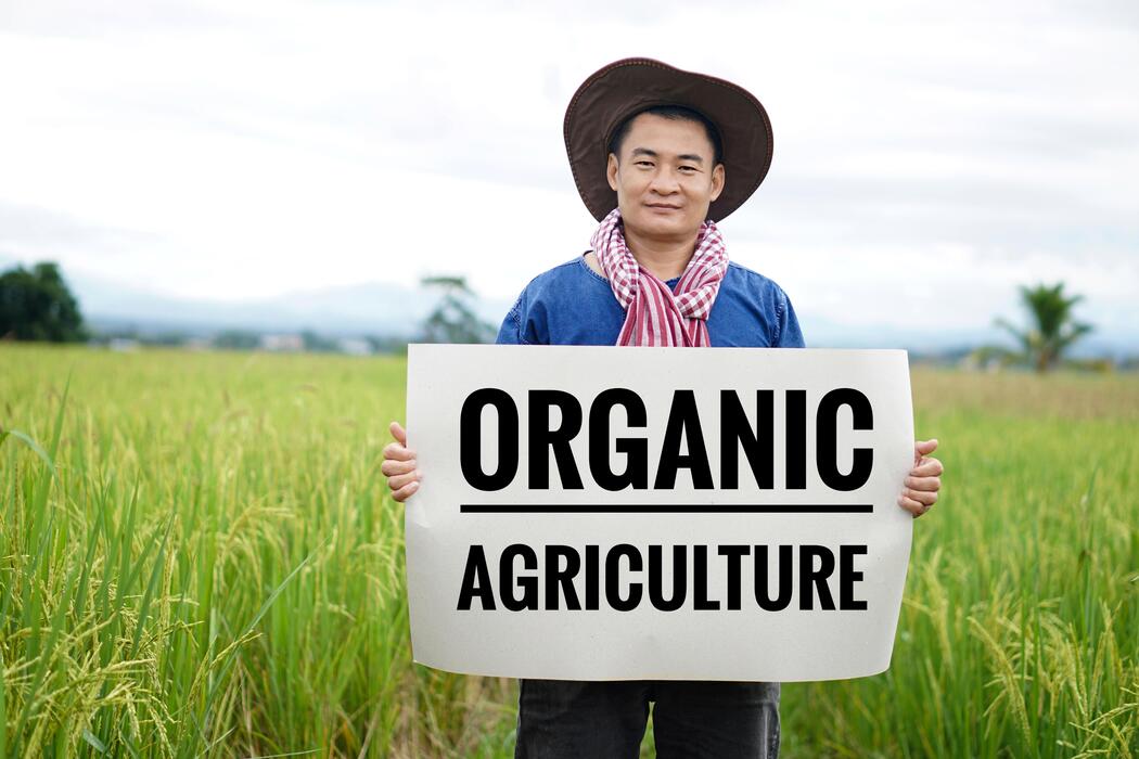 Organic Agriculture Stock Photos, Images and Backgrounds for Free Download