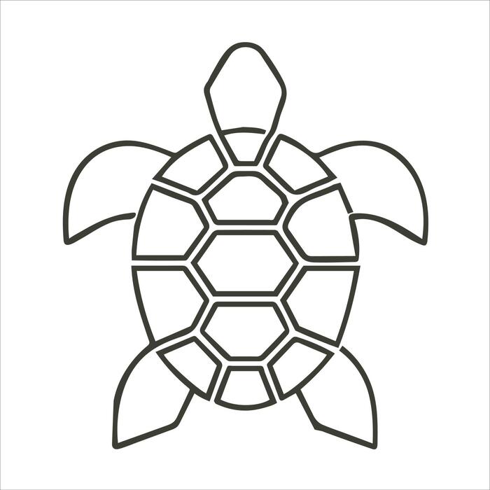 Turtle Drawing Outline
