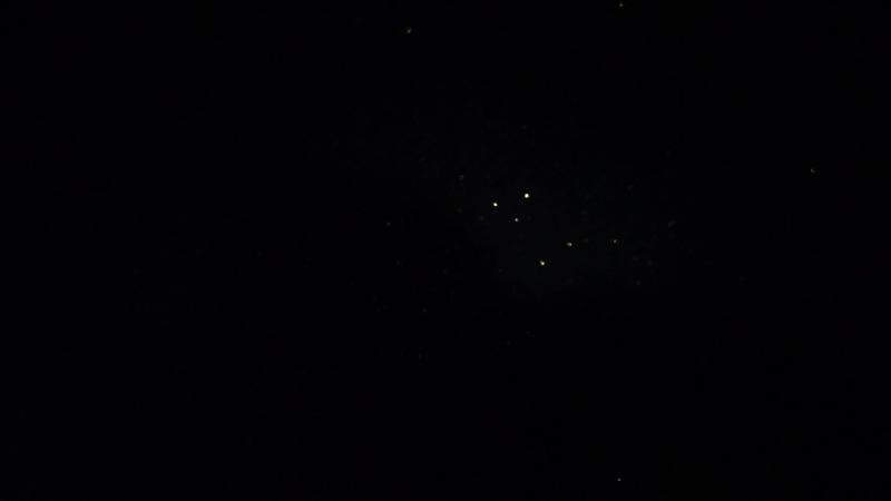 Sparkling star in dark space for video overlay effect. Abstract glitter texture animation for ...