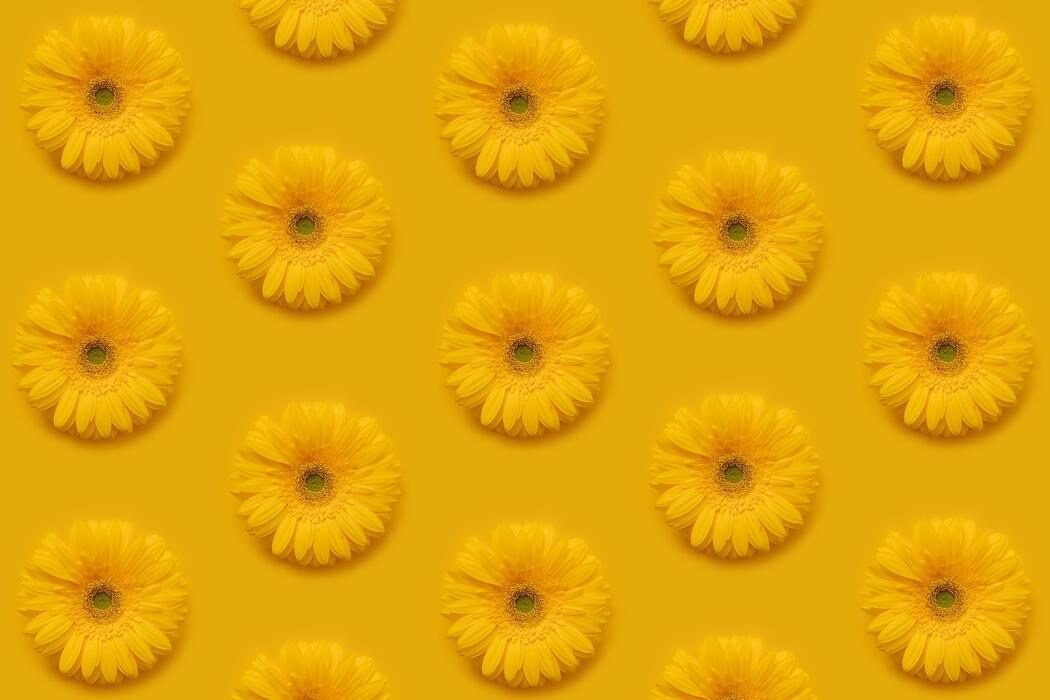 Sunshine Pattern Stock Photos, Images and Backgrounds for Free Download