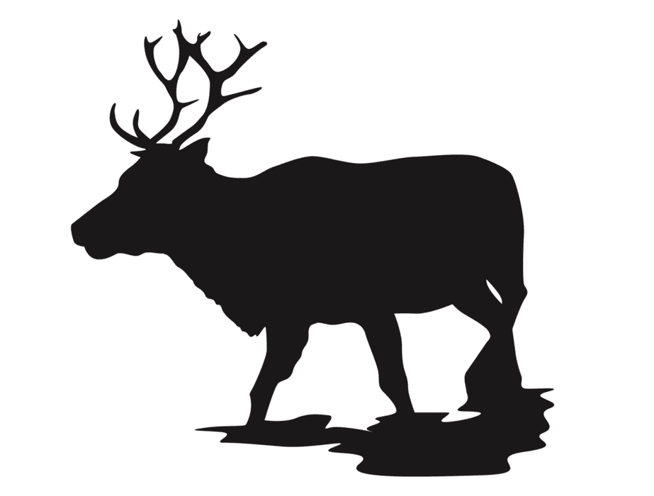 Deer Silhouette PNGs for Free Download