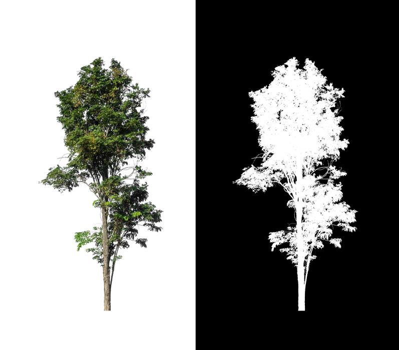 Photogrammetry Stock Photos, Images and Backgrounds for Free Download