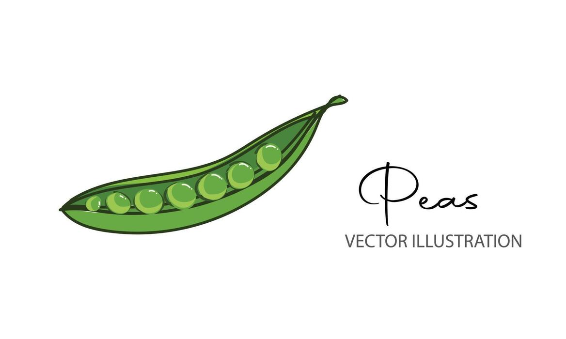 Pod Vector Art, Icons, and Graphics for Free Download