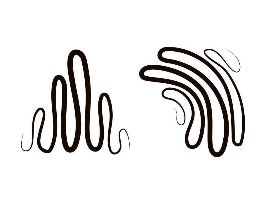 Wiggly Line Vector Art, Icons, and Graphics for Free Download