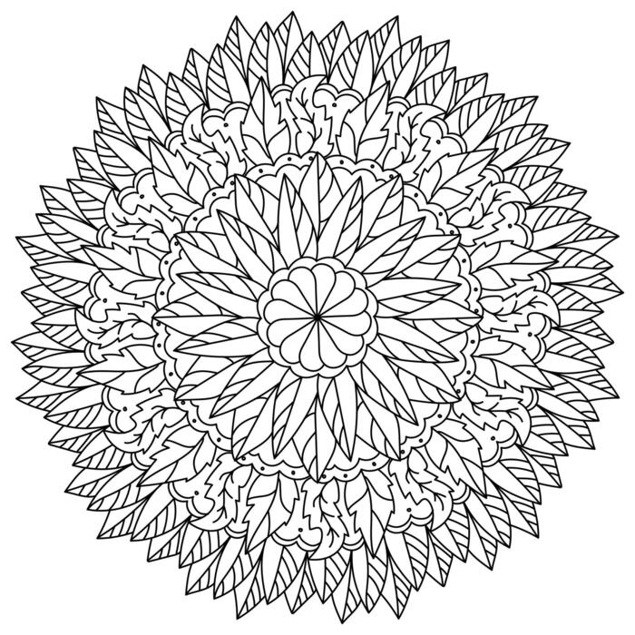 Fall Mandala Vector Art, Icons, and Graphics for Free Download