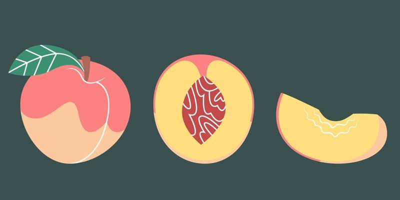Astral Fruits Vector Art Icons And Graphics For Free Download