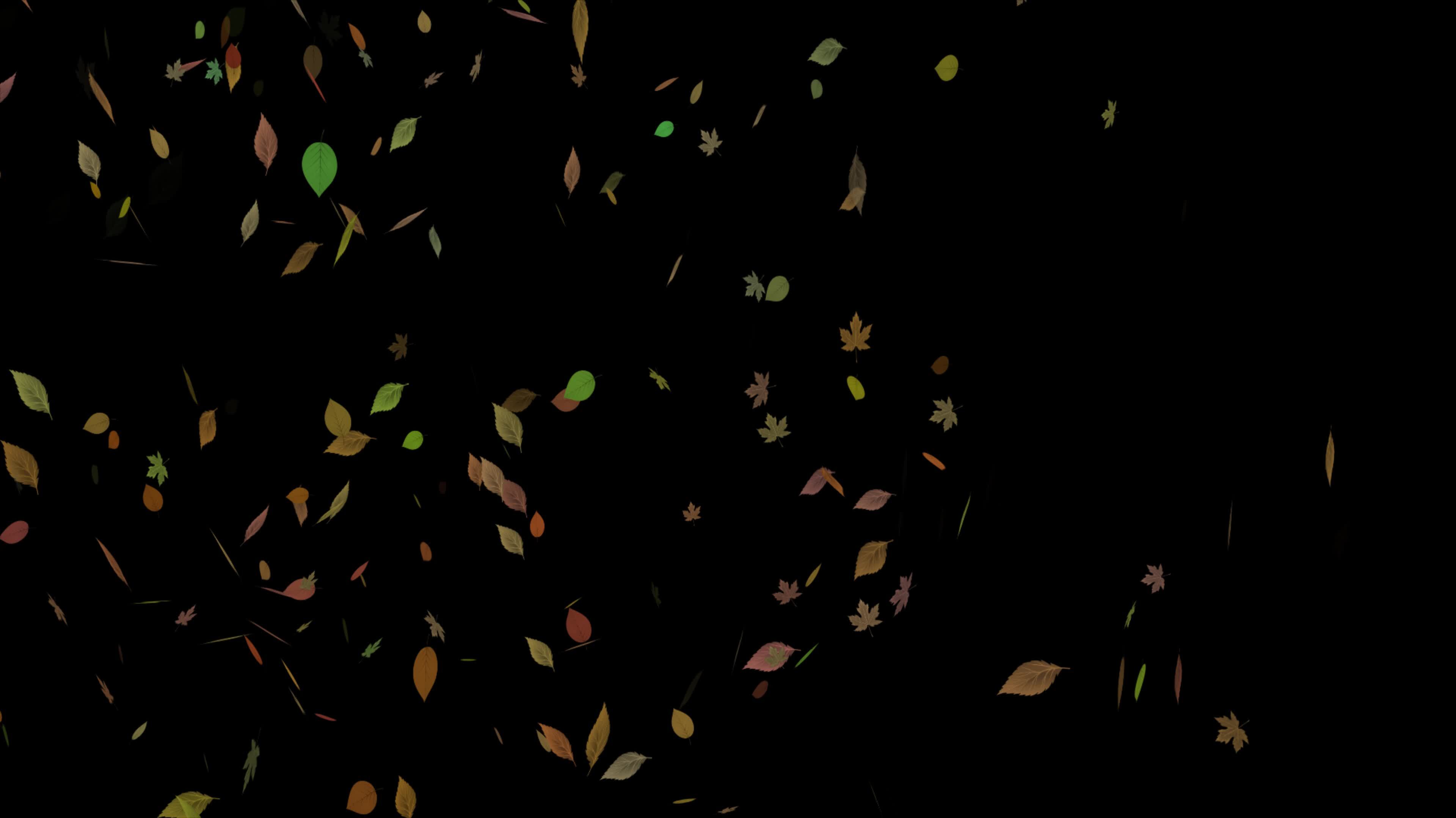 Leaves Falling Overlay Stock Video Footage for Free Download