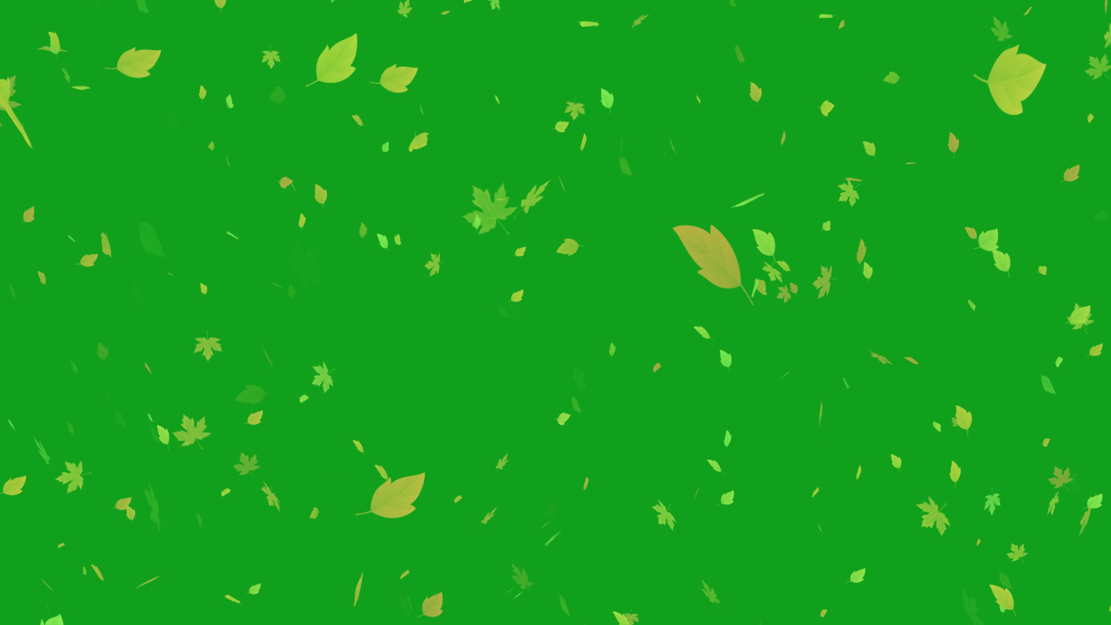 Falling Green Leaves Gif