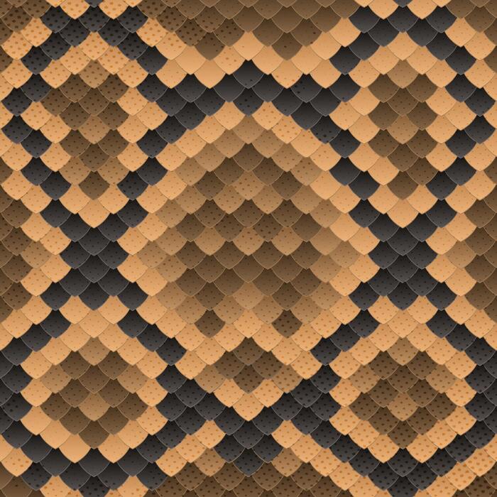 Snake Skin Pattern Vector Art, Icons, and Graphics for Free Download