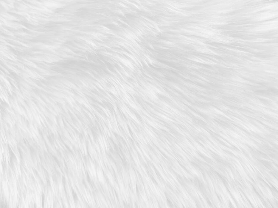 White Fur Background Stock Photos, Images and Backgrounds for Free Download