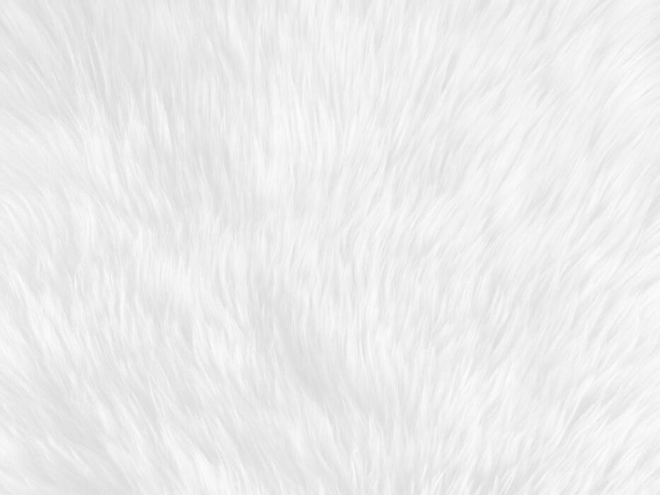 White Fur Background Stock Photos, Images and Backgrounds for Free Download