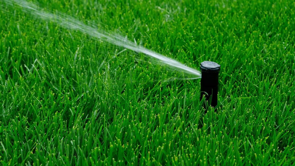 Lawn Irrigation Stock Photos, Images and Backgrounds for Free Download