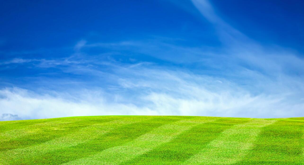Lawn Sky Stock Photos, Images and Backgrounds for Free Download