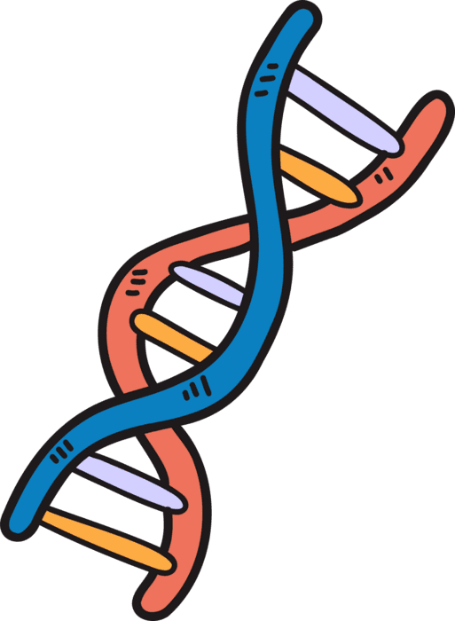 Gene PNGs for Free Download