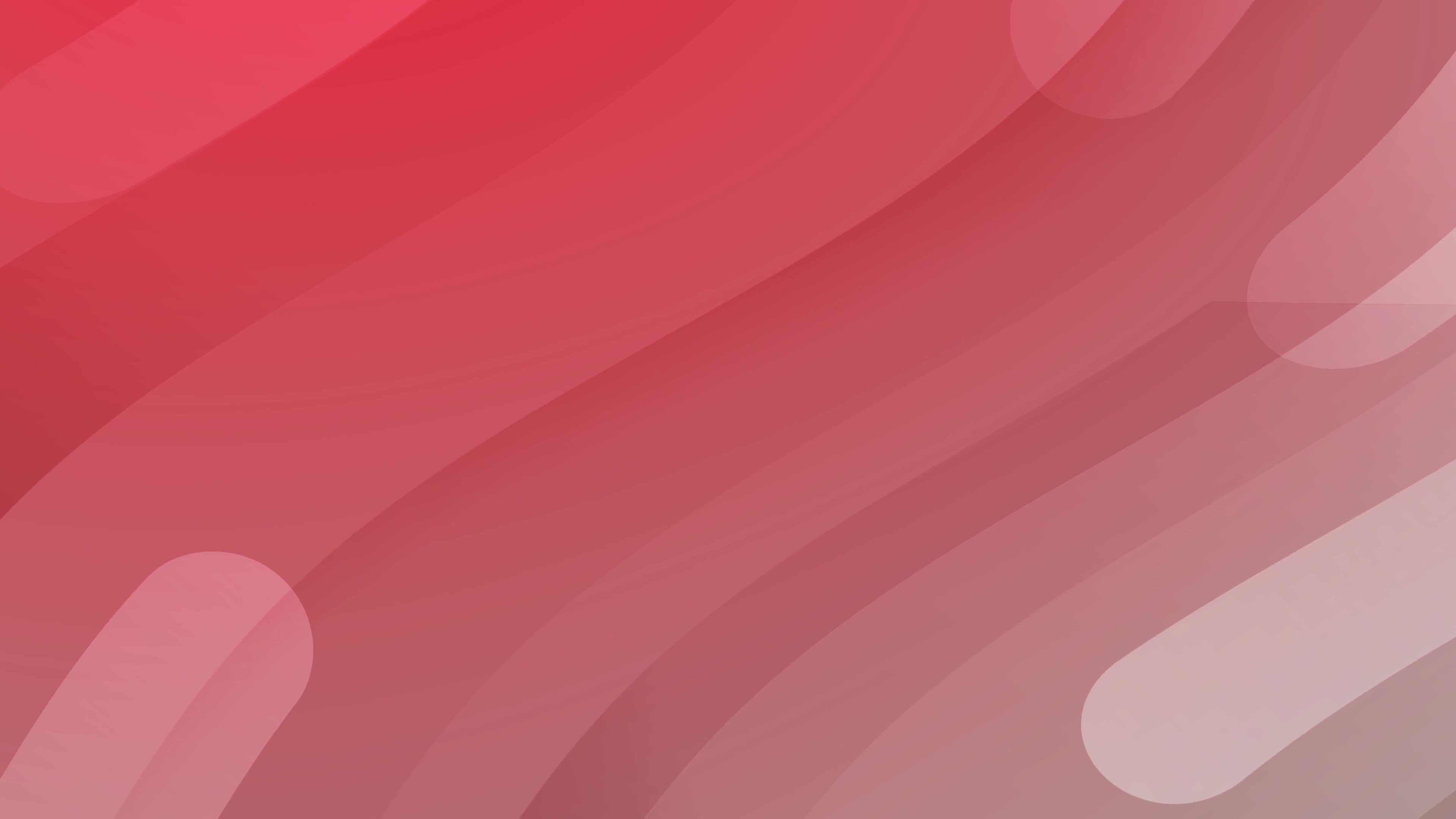 Red And White Gradient Smooth Abstract Elegant Liquid Animation Background Seamless Looping
