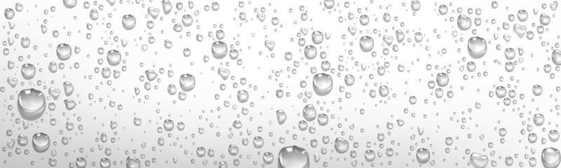 Water Condensation Vector Art, Icons, and Graphics for Free Download