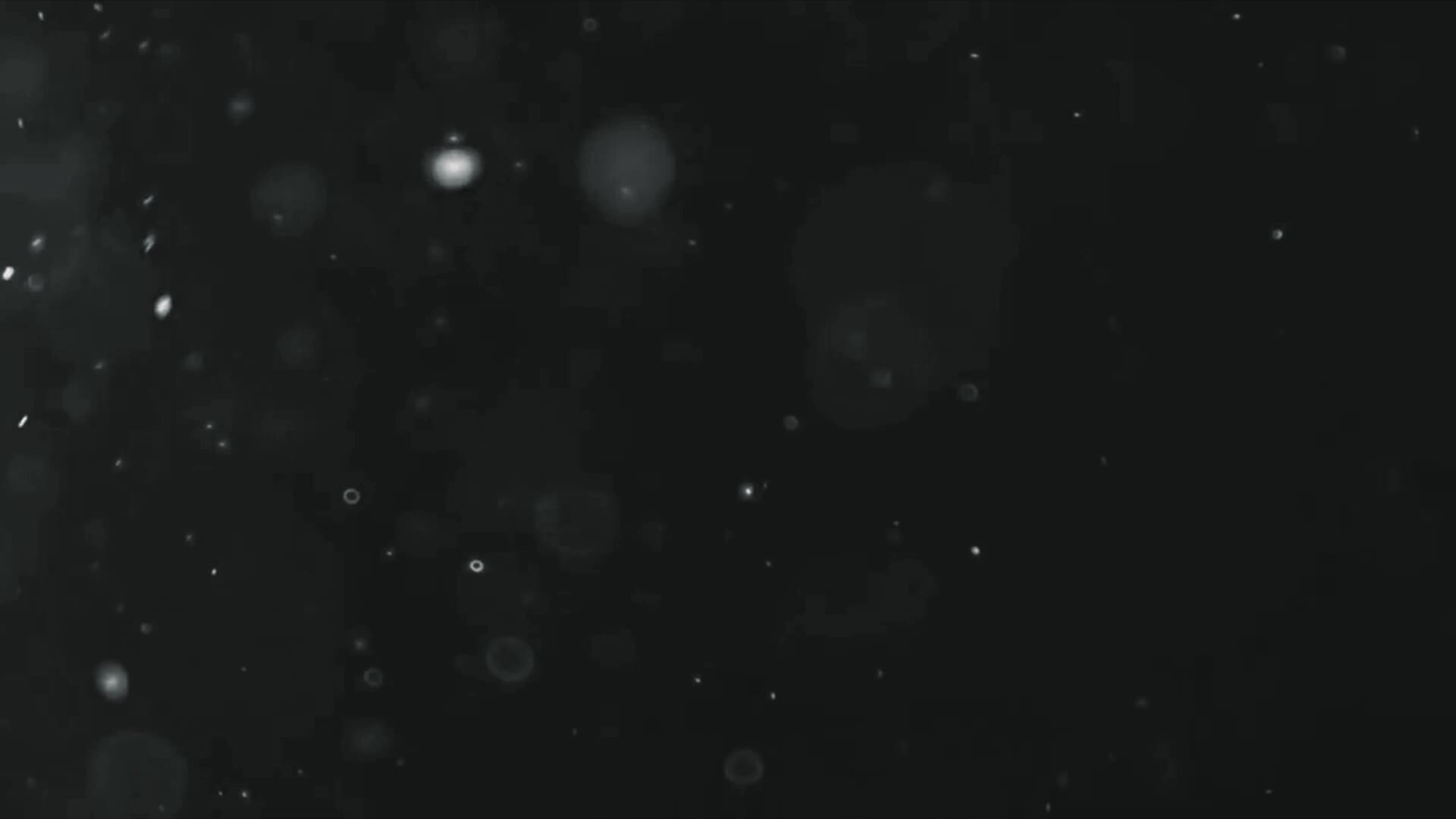 Dust Particle Overlay Stock Video Footage for Free Download Dust Particle Overlay Stock Video Footage for Free Download