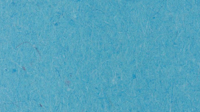 Blue Jay Paper Background Texture Seamless Loop 15488258 Stock Video at Vecteezy