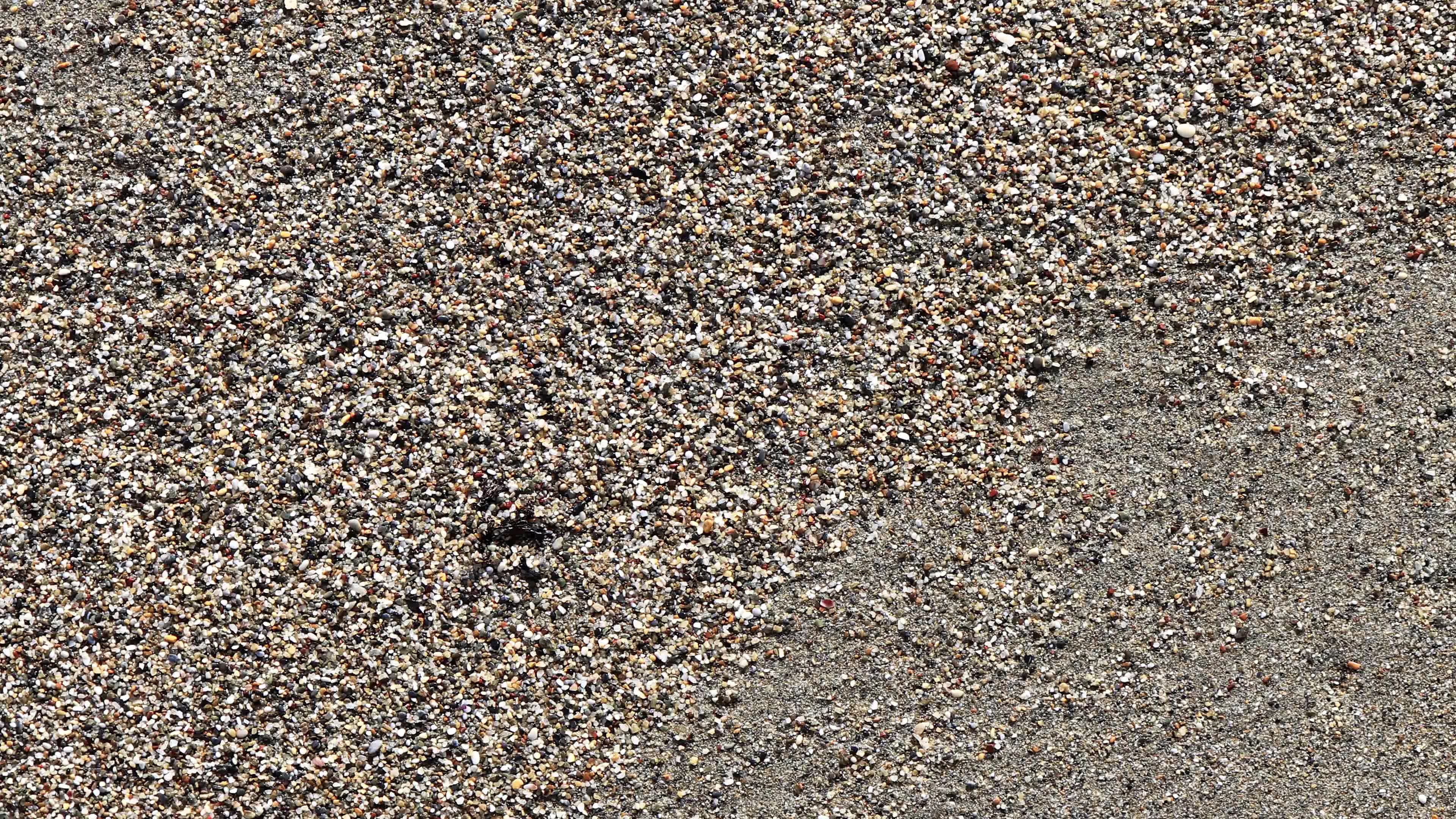 Sand Texture With Large And Small Grains Transition Seamless Loop Summer Beach Background