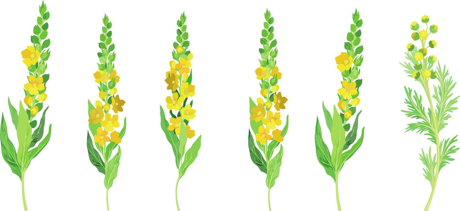 Spring Background Vector Art, Icons, and Graphics for Free Download