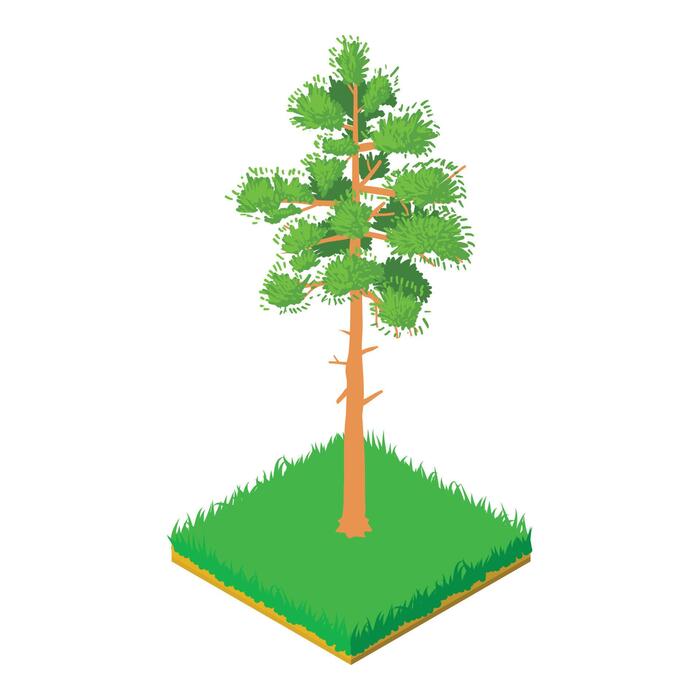 Page 3 | Pine Tree Vector Art, Icons, and Graphics for Free Download
