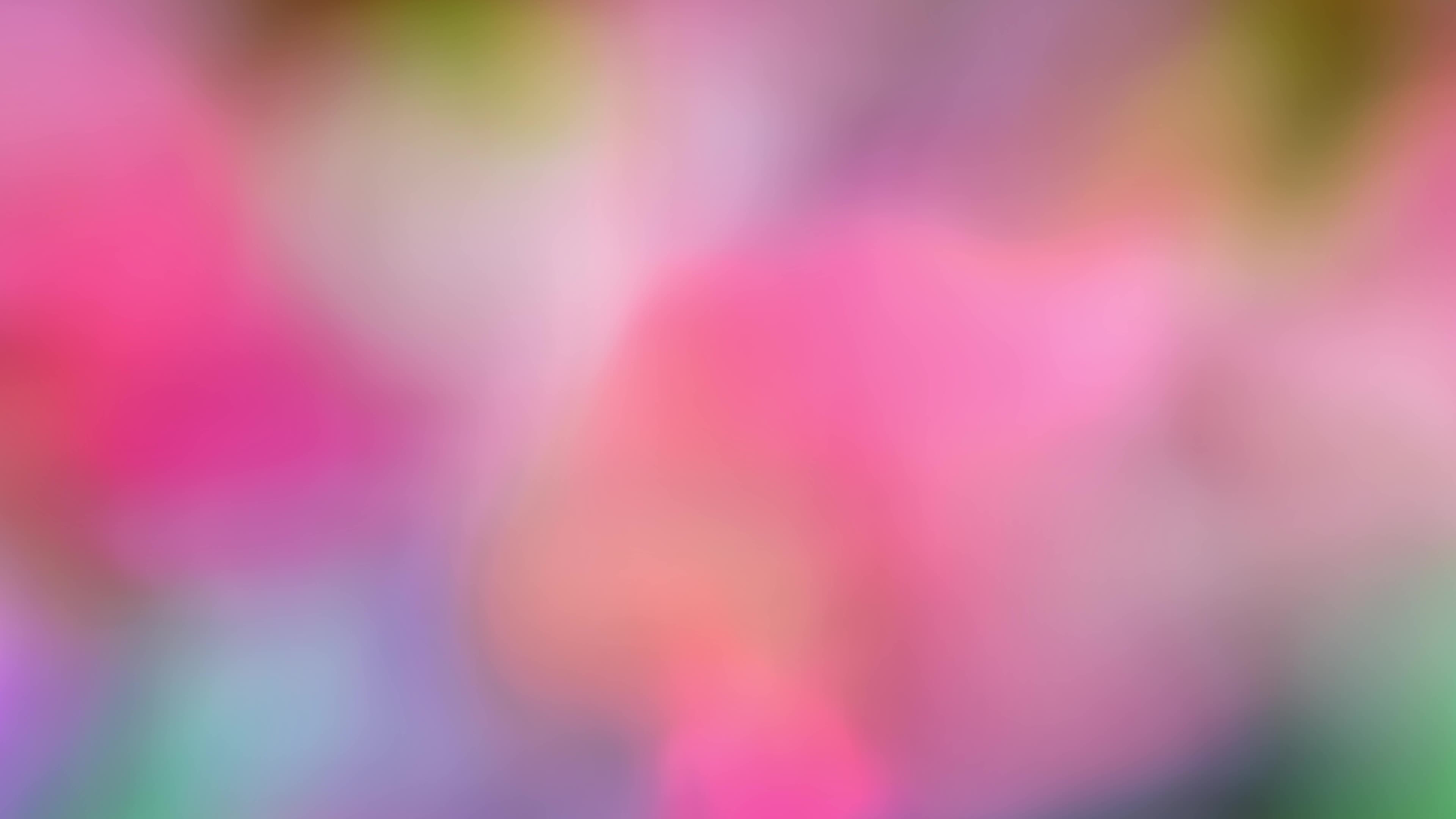 Moving Multicolor Abstract Blurry Holographic Background Animationgradient Background Animation