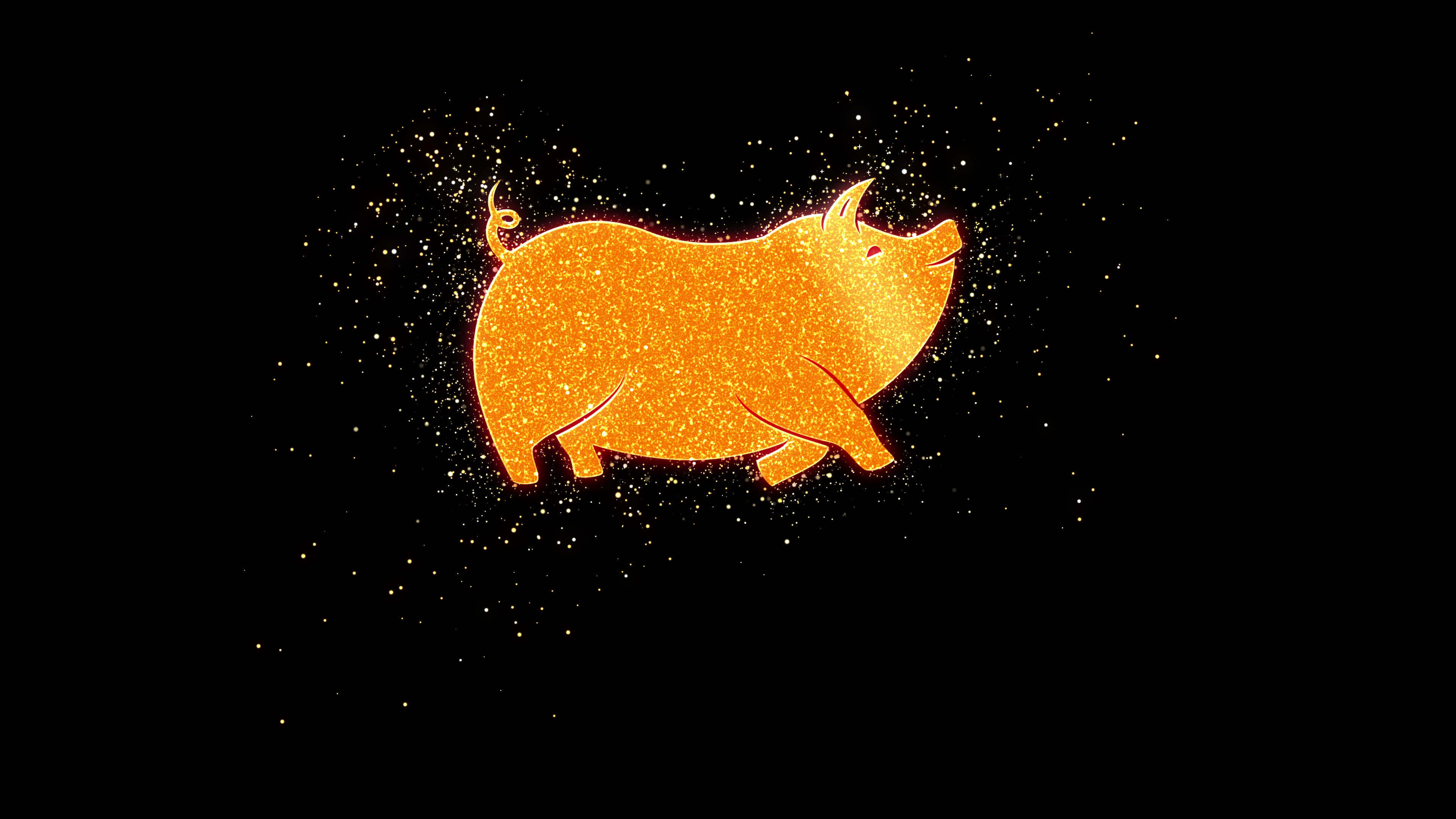 Chinese new year pig Particle design element Seamless loop animation ...