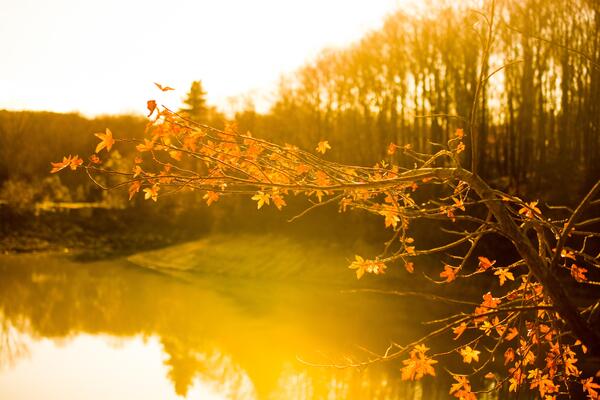 Autumn Stock Photos, Images and Backgrounds for Free Download