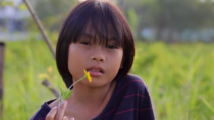 Film Bokep Full Stock Video Footage for Free Download