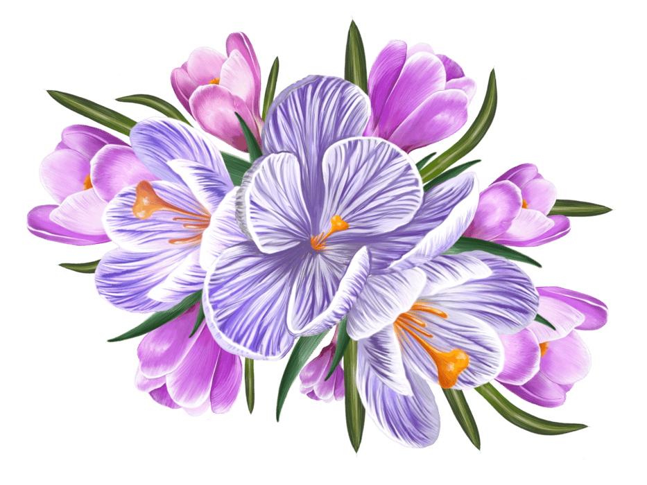 Spring PNGs for Free Download