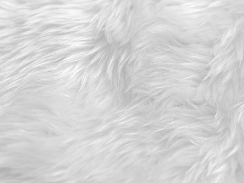White Fur Background Stock Photos, Images and Backgrounds for Free Download