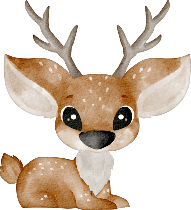 Deer PNG Free Images with Transparent Background - (1,782 Free Downloads)