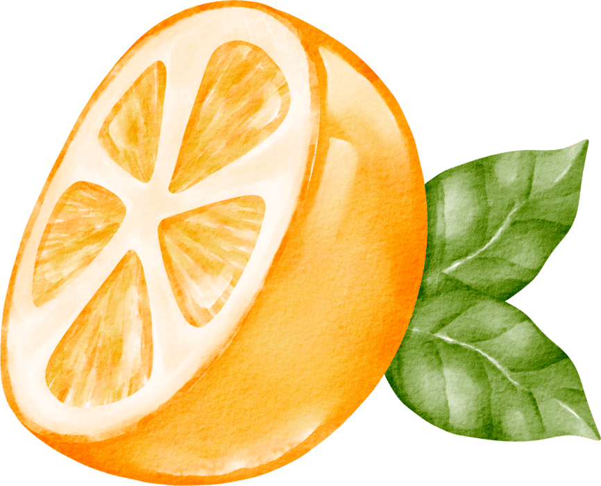 Watercolor Oranges PNGs for Free Download