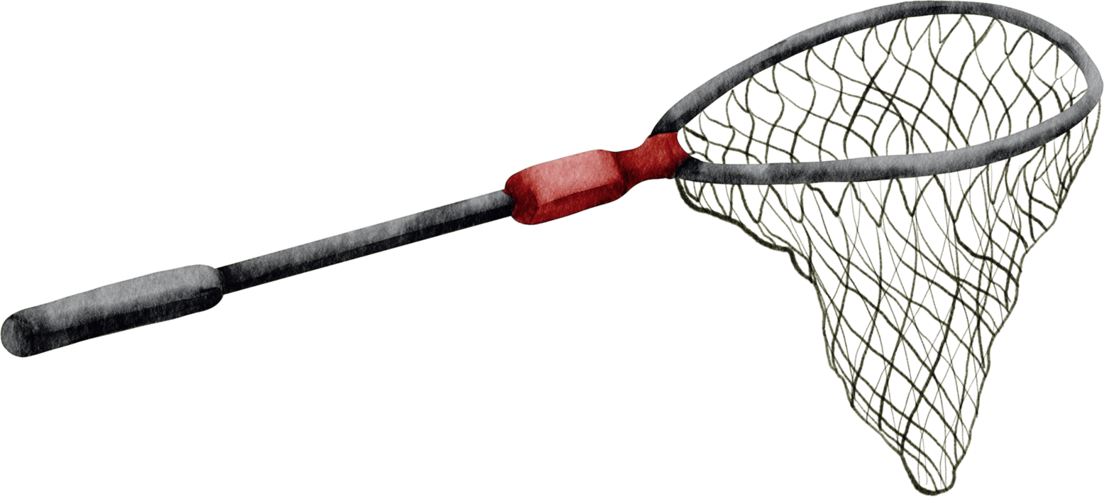 Fish Net PNGs for Free Download