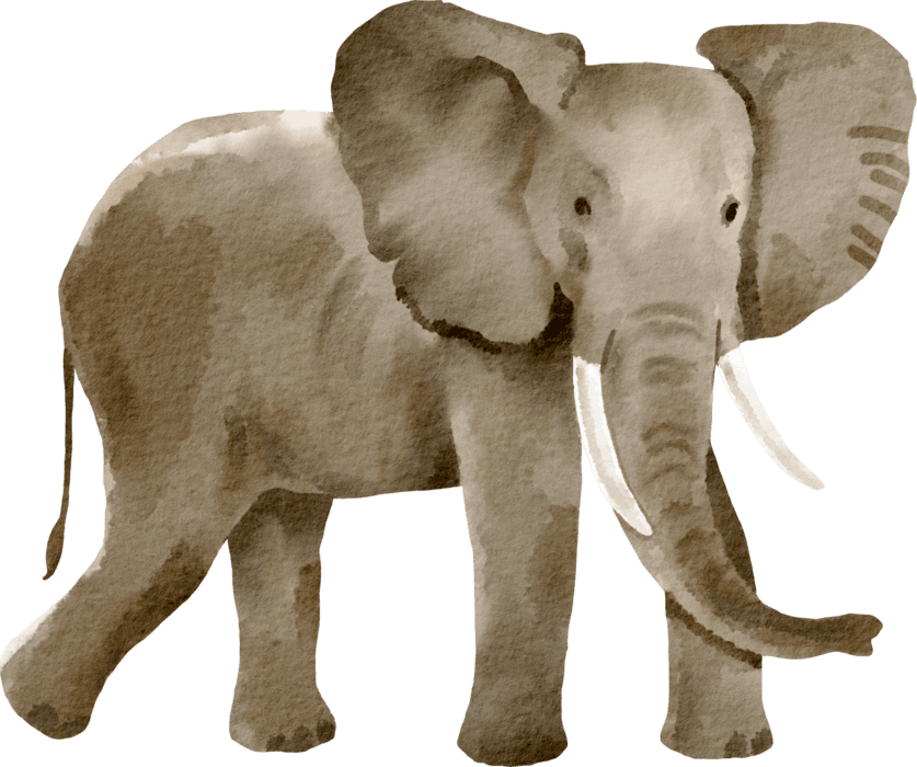 Elephant Clipart PNGs for Free Download