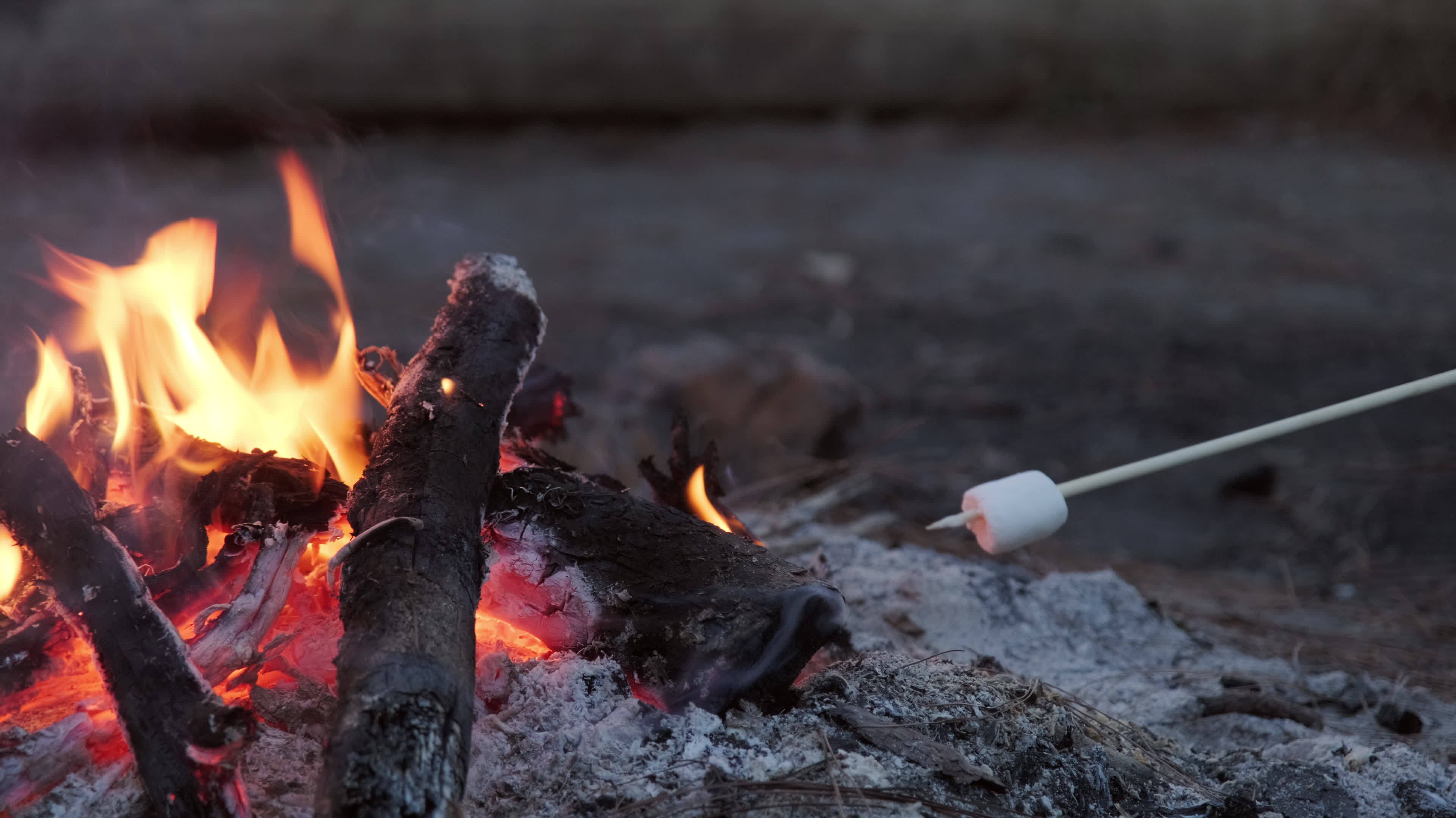 Roasting Marshmallows