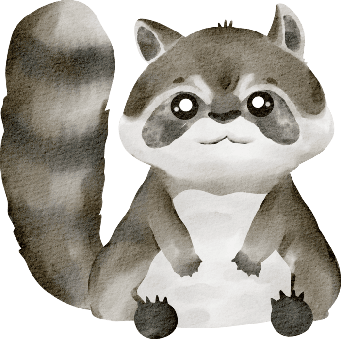 Raccoon Watercolor PNGs for Free Download