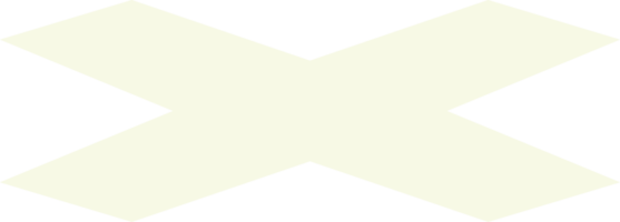 White X Png