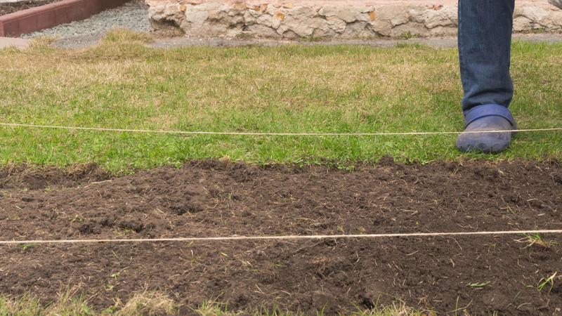 Edging Stock Video Footage for Free Download