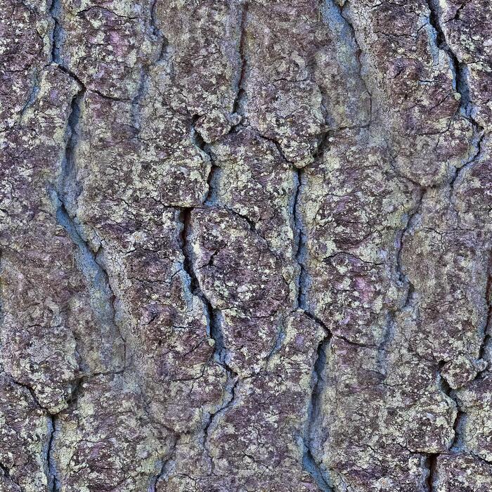 Tree Seamless Stock Photos, Images and Backgrounds for Free Download