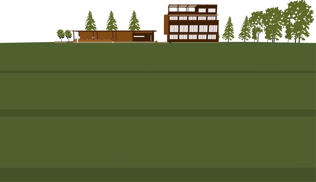 Architectural Tree Plan Vector Art, Icons, and Graphics for Free Download