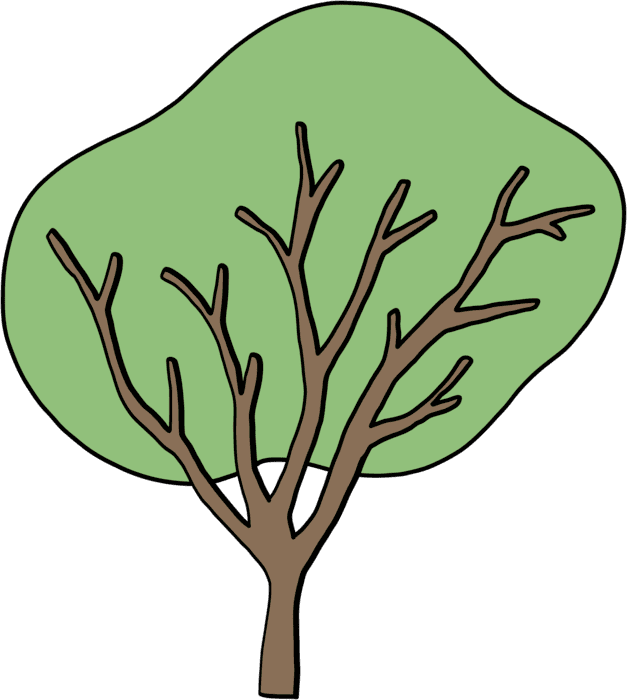 Tree Plan PNGs for Free Download