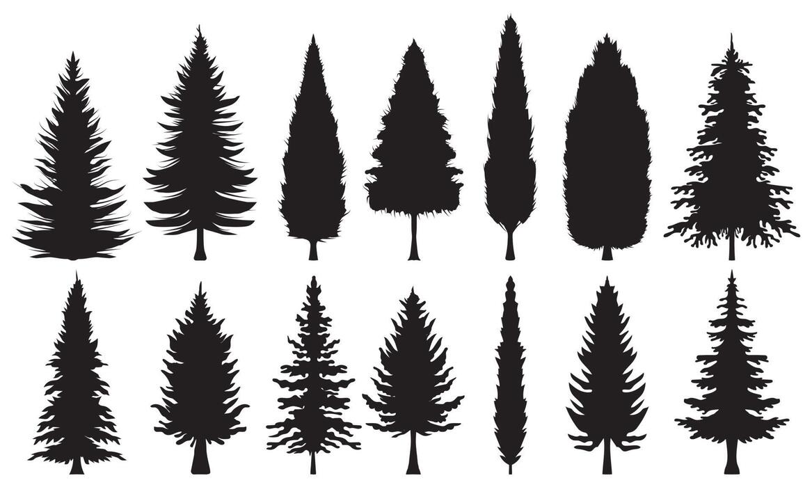 Pine Tree Vector Art, Icons, and Graphics for Free Download