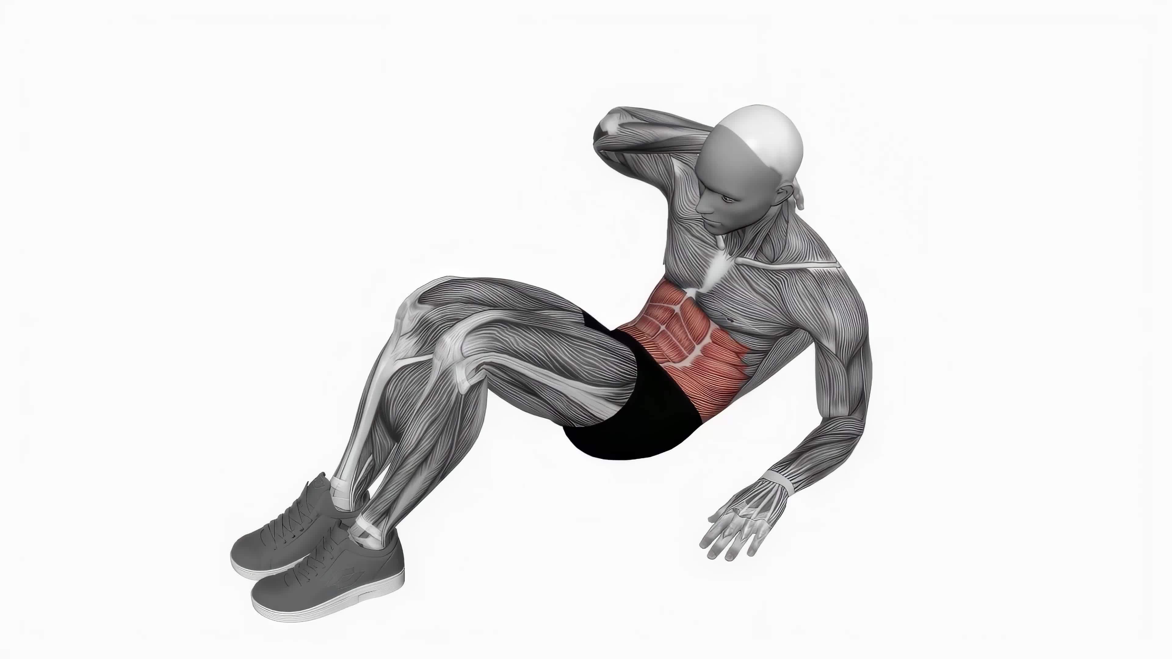 Alternate Oblique Crunch Fitness Exercise Workout Animation Video Male