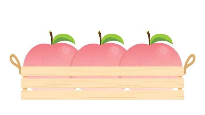 Peach Basket Vector Art Icons And Graphics For Free Download